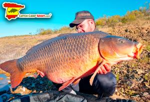 Catch Carp Spain - Home